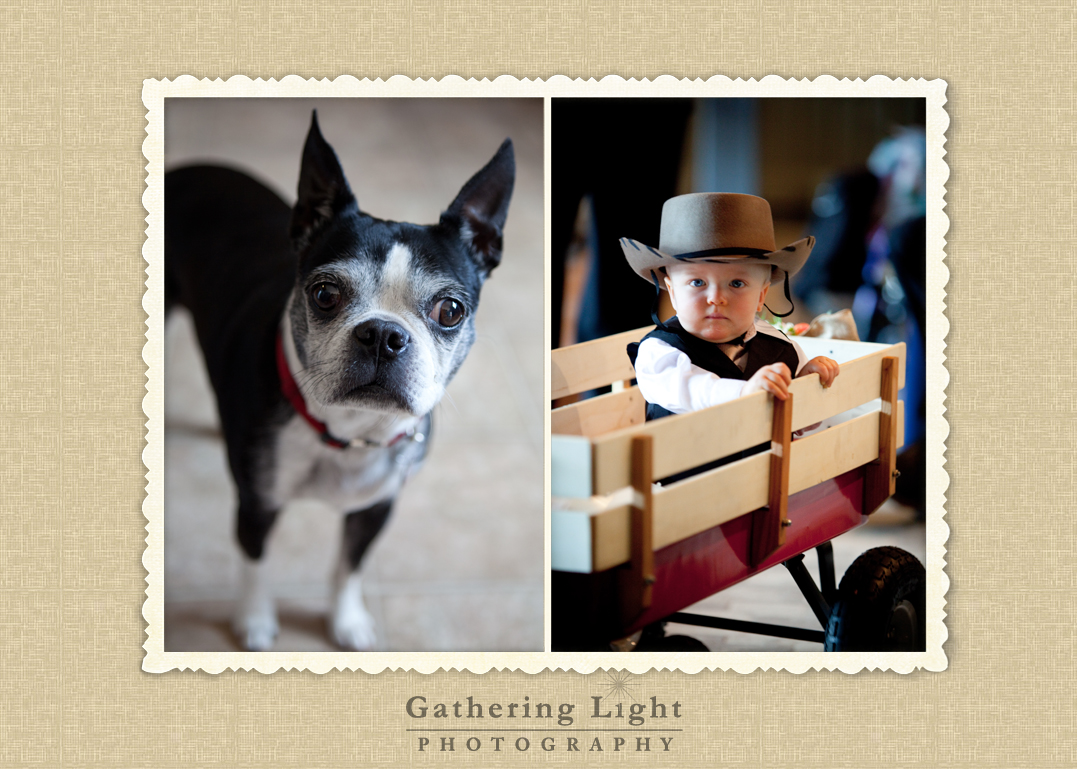 Wedding Photographer in Denver - Gathering Light Photography