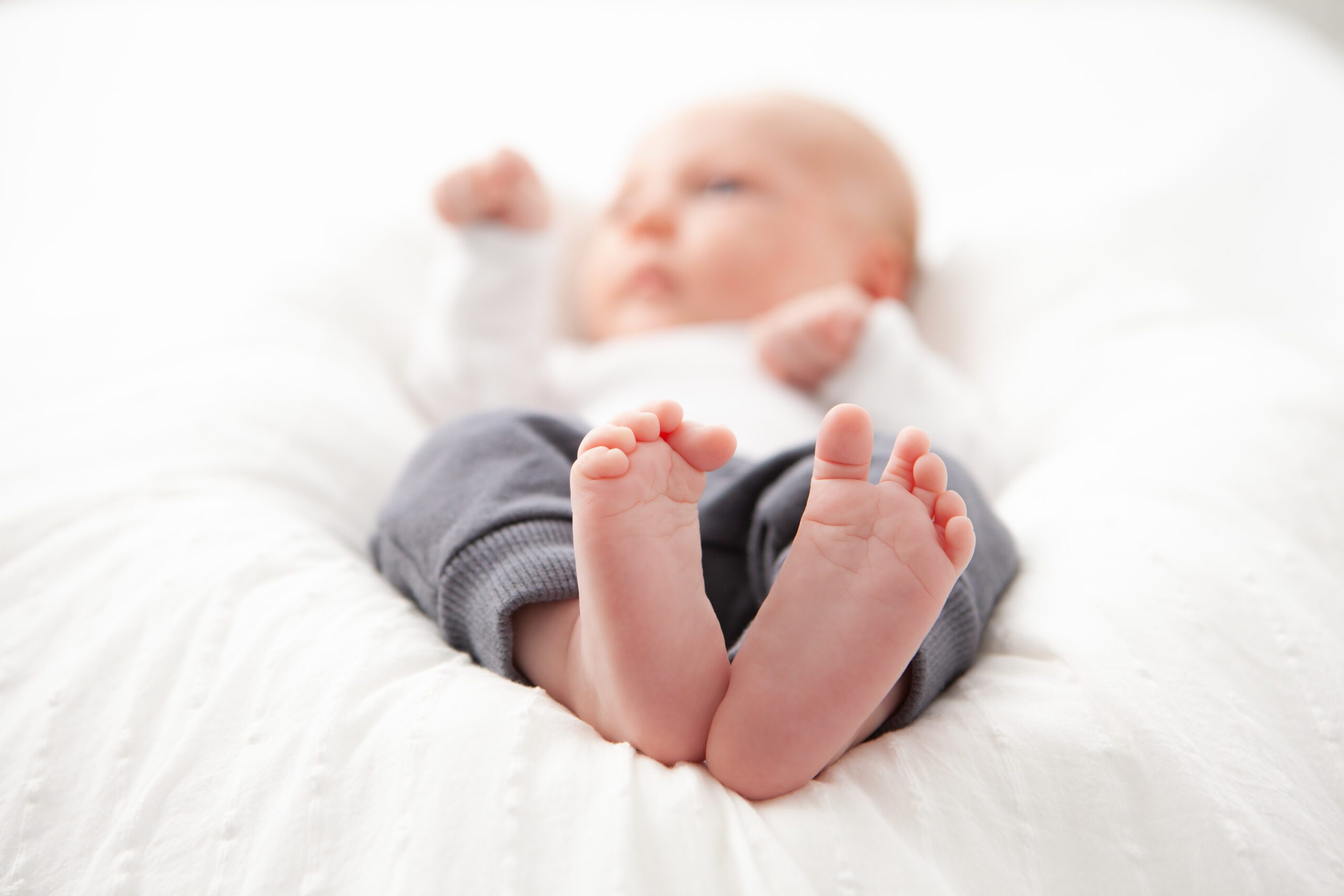 Portland Photography Studio